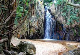 The Reason of Nyachowa Falls - New Ziana