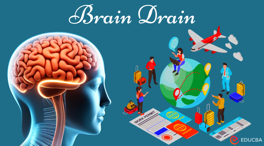 Zim embarks on skills audit to address brain drain - New Ziana