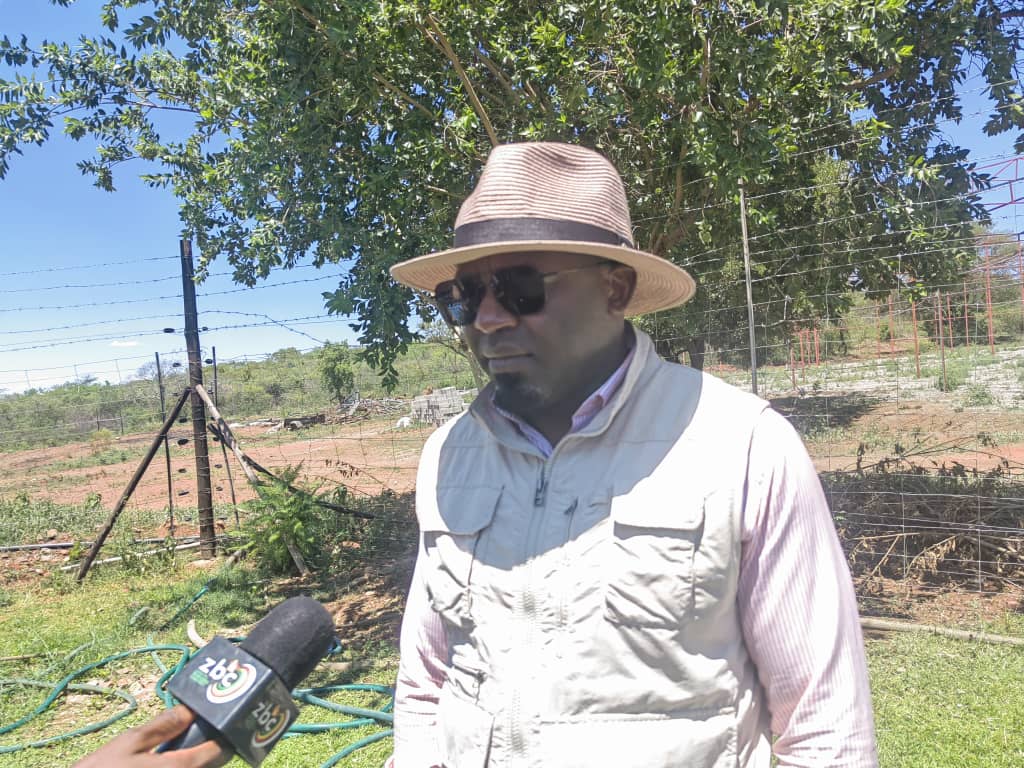 Umguza farmers eye mbanje – New Ziana