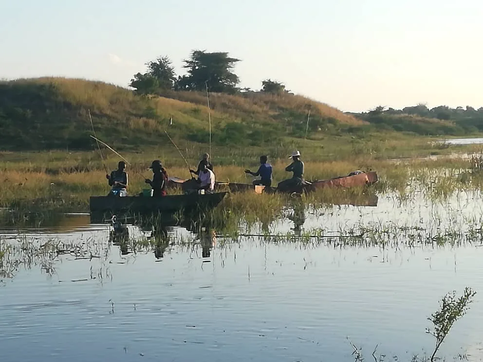 Curbs on over-fishing in Lake Kariba gain momentum - New Ziana
